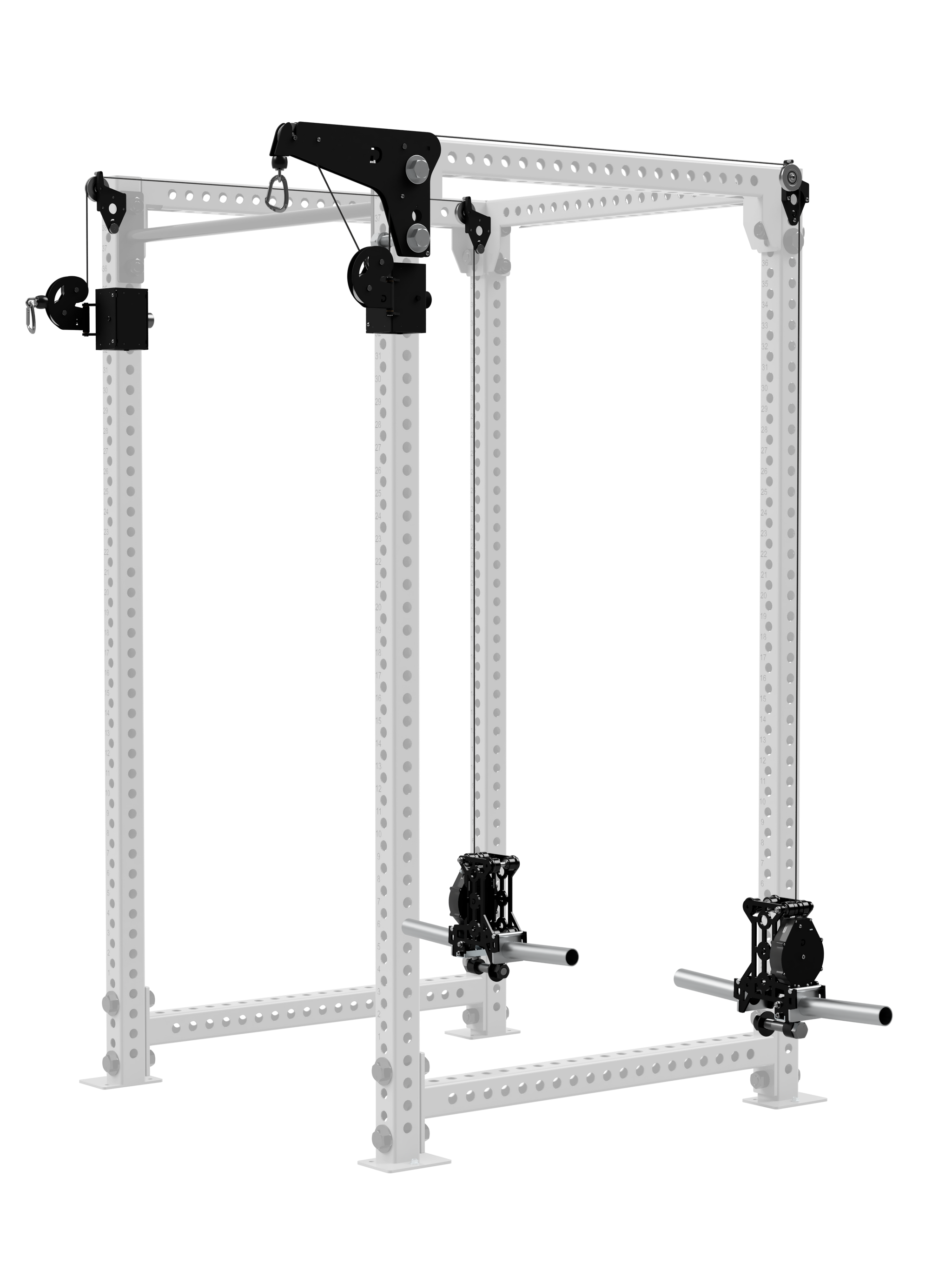 Ibex™ – Dialed Motion