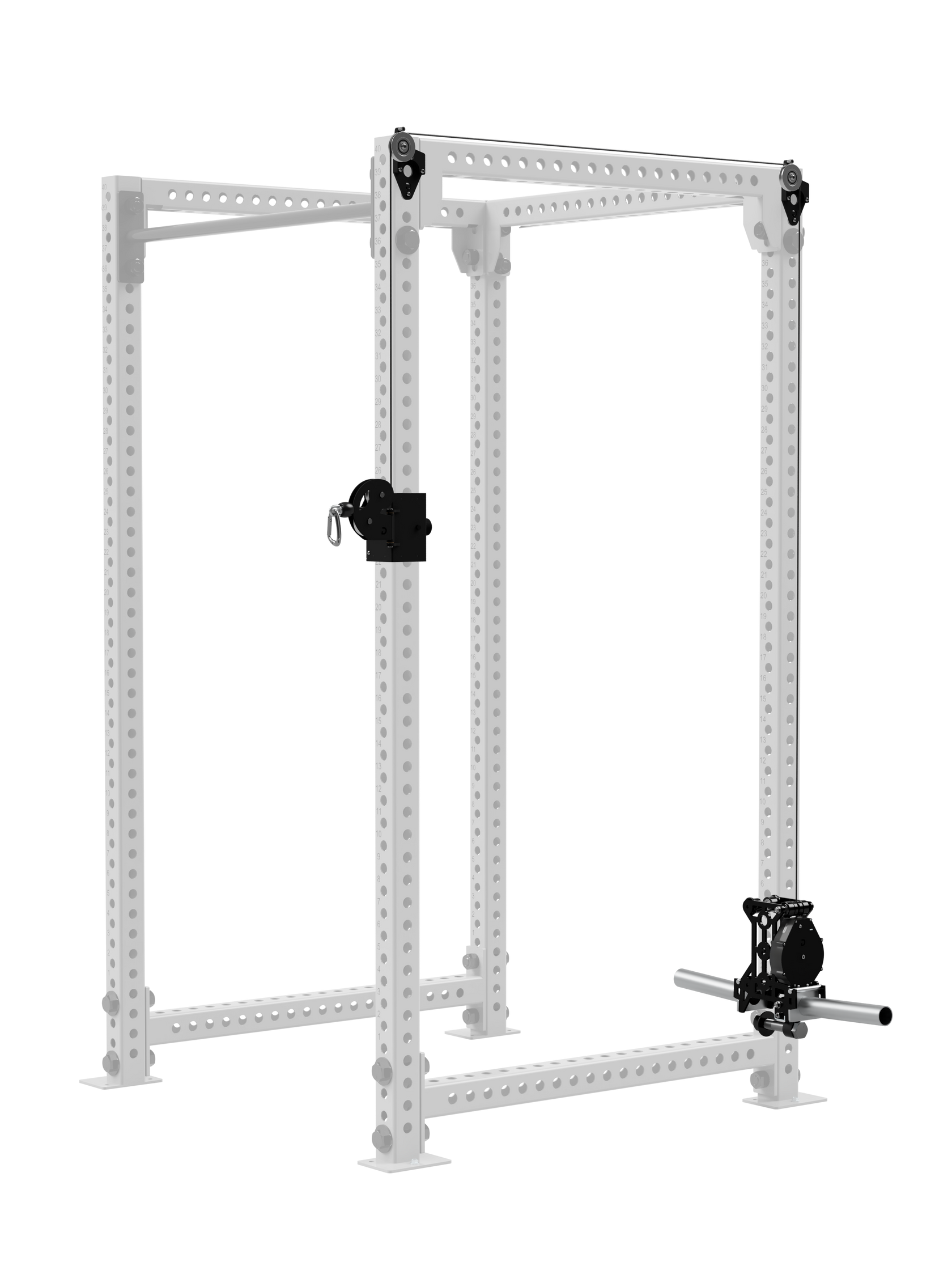 Ibex™ – Dialed Motion