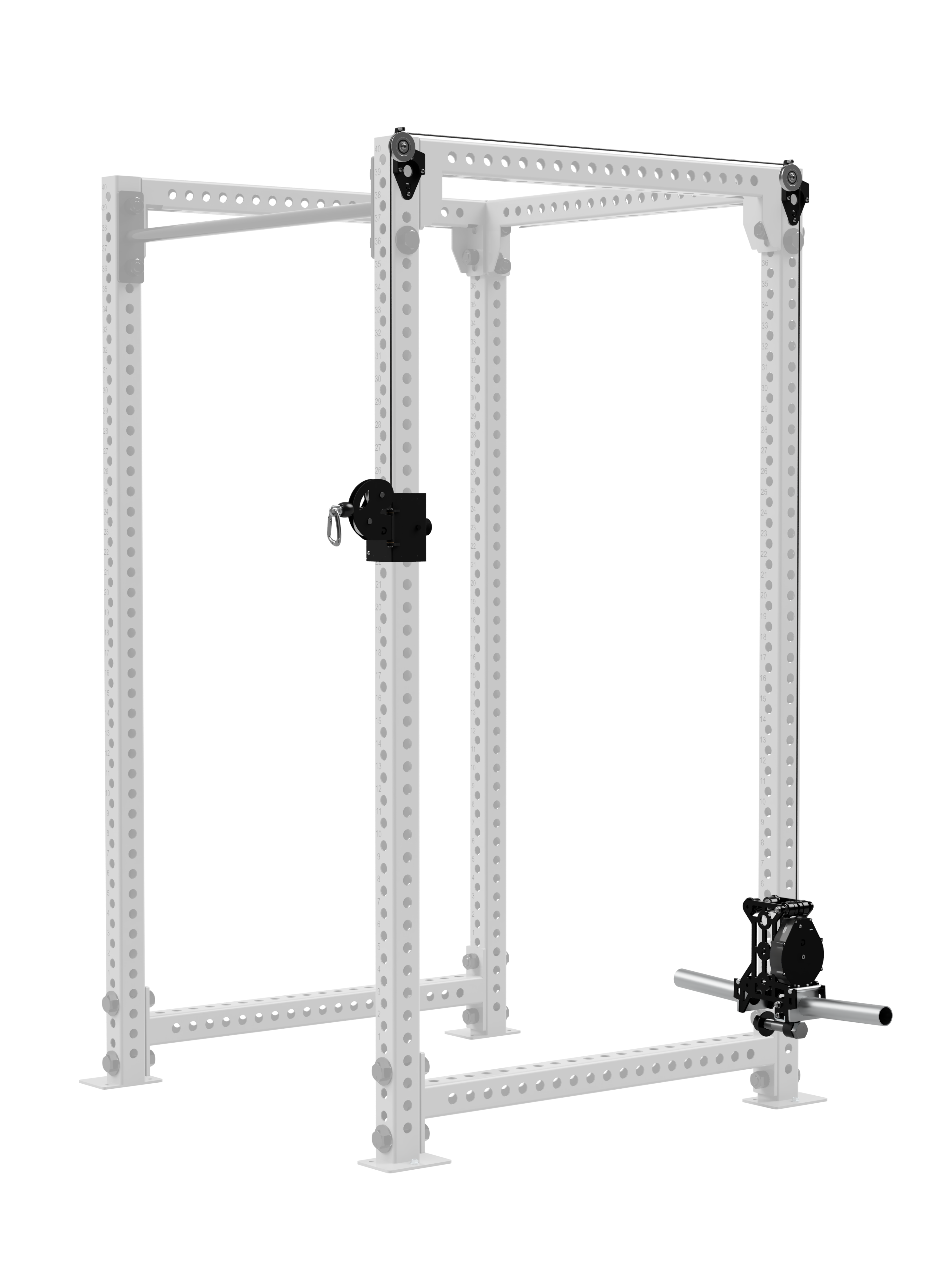 Ibex™ – Dialed Motion