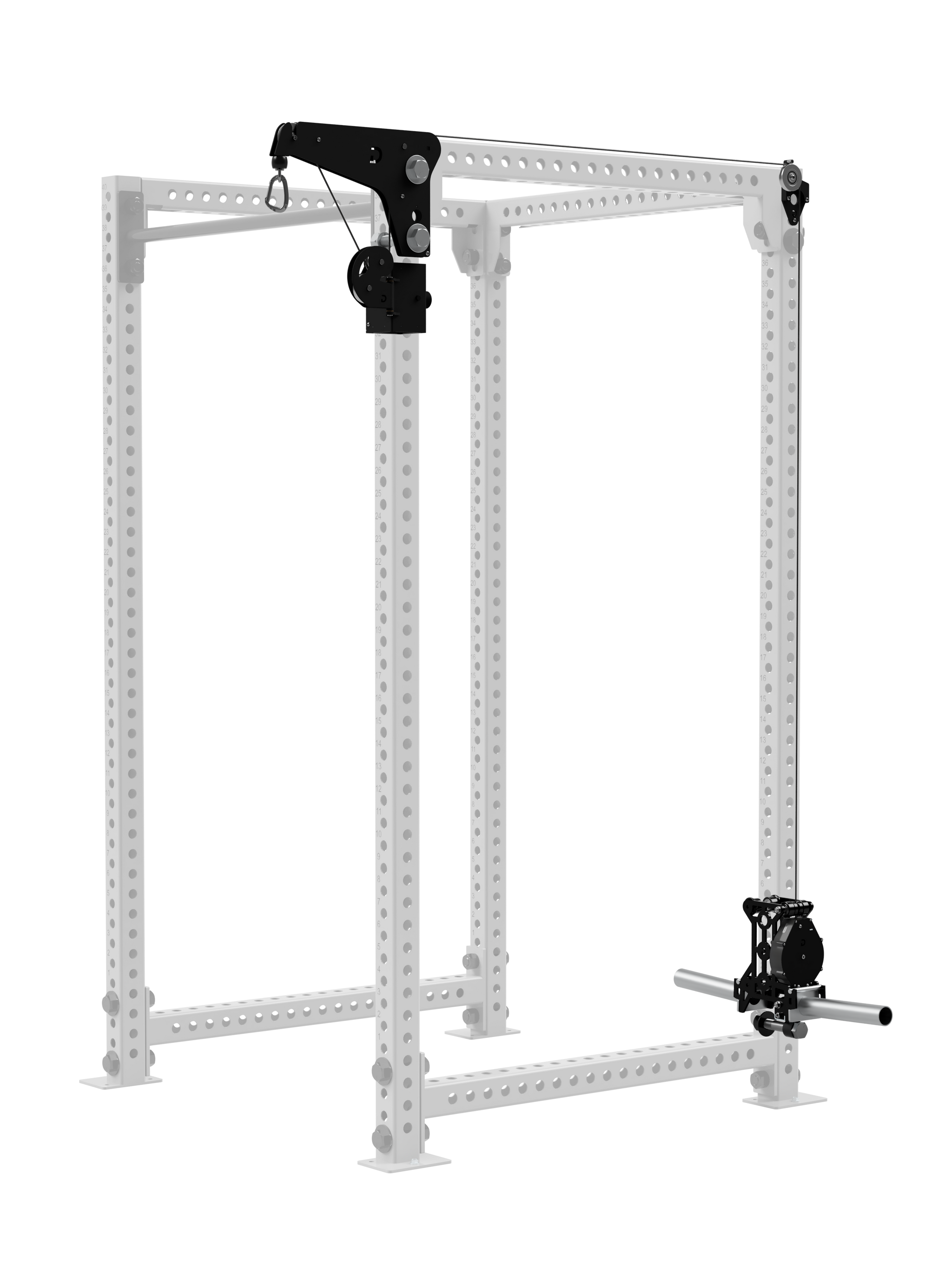 Ibex™ – Dialed Motion