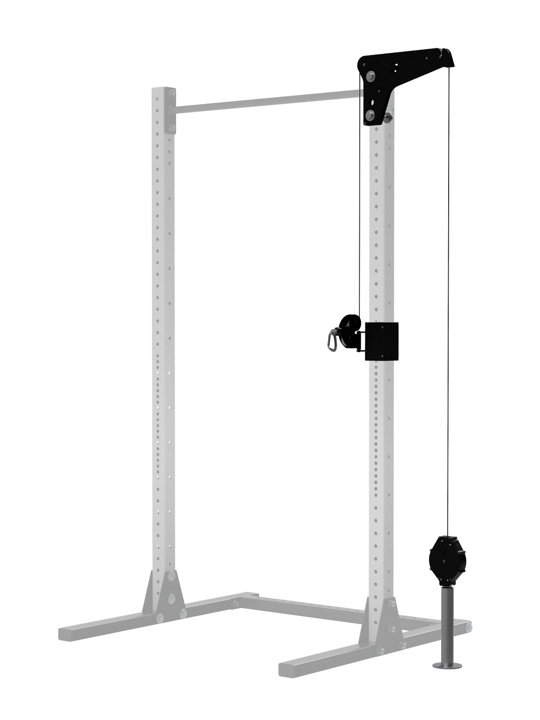 Dialed Motion