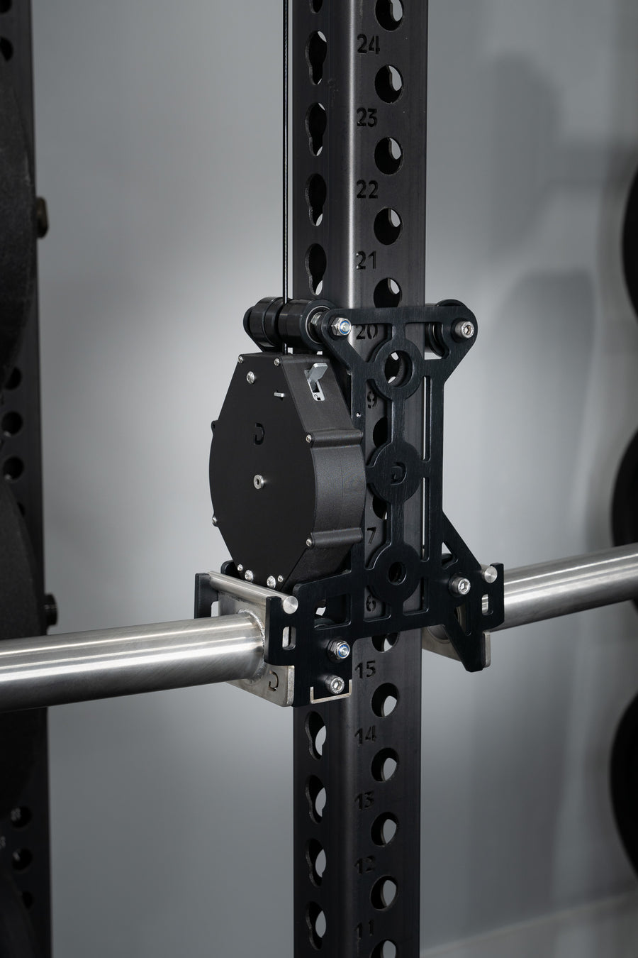 Ibex™ – Dialed Motion